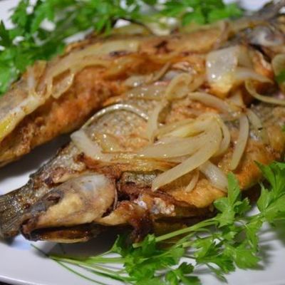 👌 Кефаль рецепты, 100 вкусных рецептов с фото 👌 Алимеро